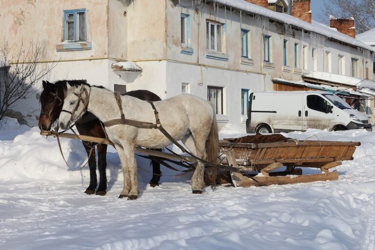 How to Say "Sleigh" in Italian - Slitta - Daily Italian Words