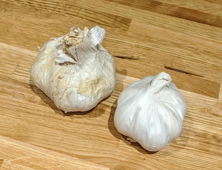 Italian Word of the Day: Aglio (garlic) - Daily Italian Words