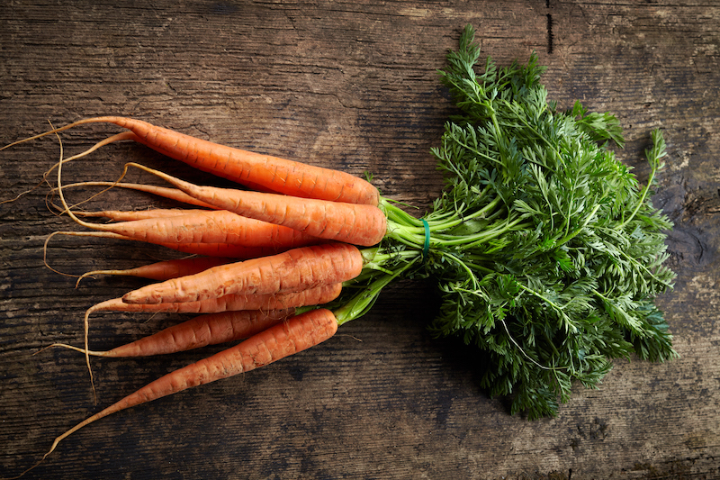 Italian Word of the Day: Carota (carrot) - Daily Italian Words