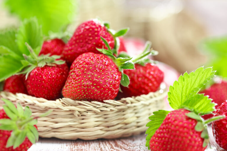 Italian Word of the Day: Fragola (strawberry) - Daily Italian Words