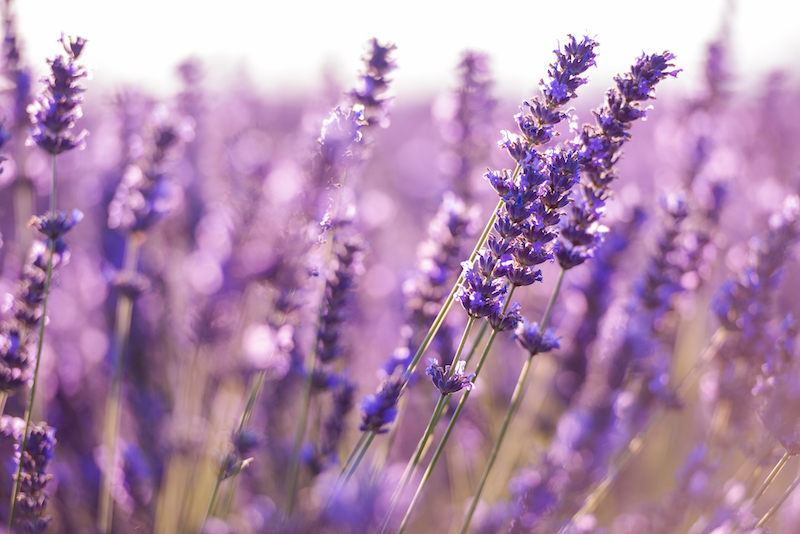 The 45 Most Beautiful Italian Words with a Deep Meaning - Daily Italian ...