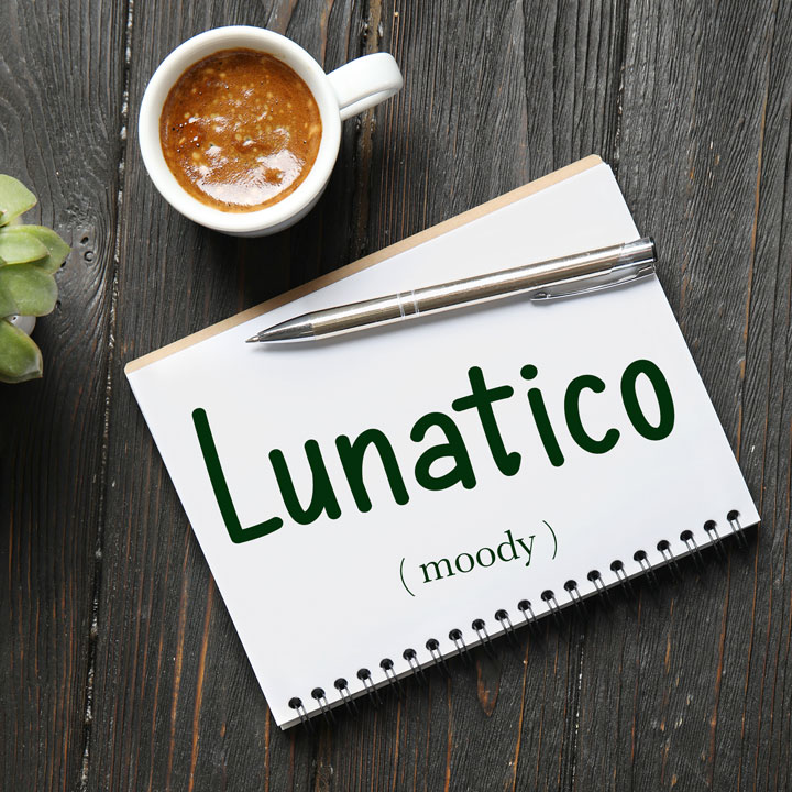 Italian Word of the Day: Lunatico (moody) - Daily Italian Words