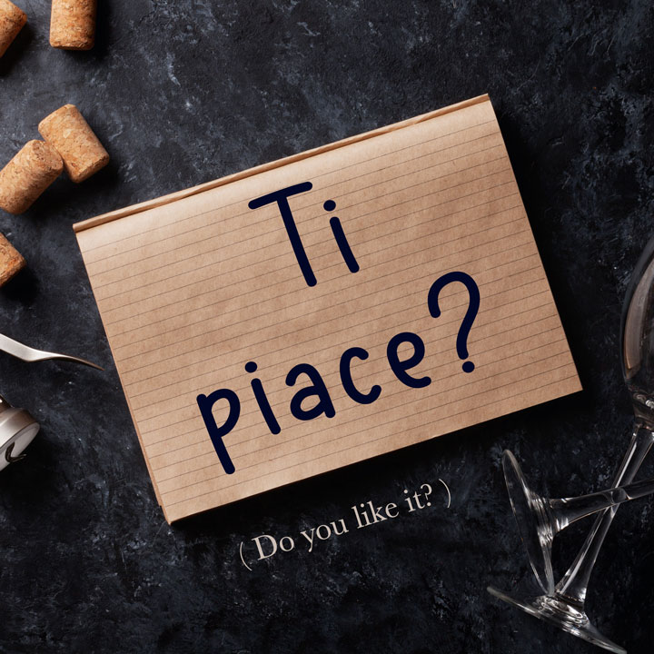 Italian Phrase: Ti piace? (Do you like it?) - Daily Italian Words