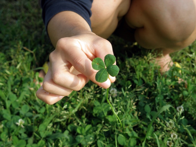 15 Italian Idiomatic Expressions with 'Avere' (to have) - Daily Italian ...