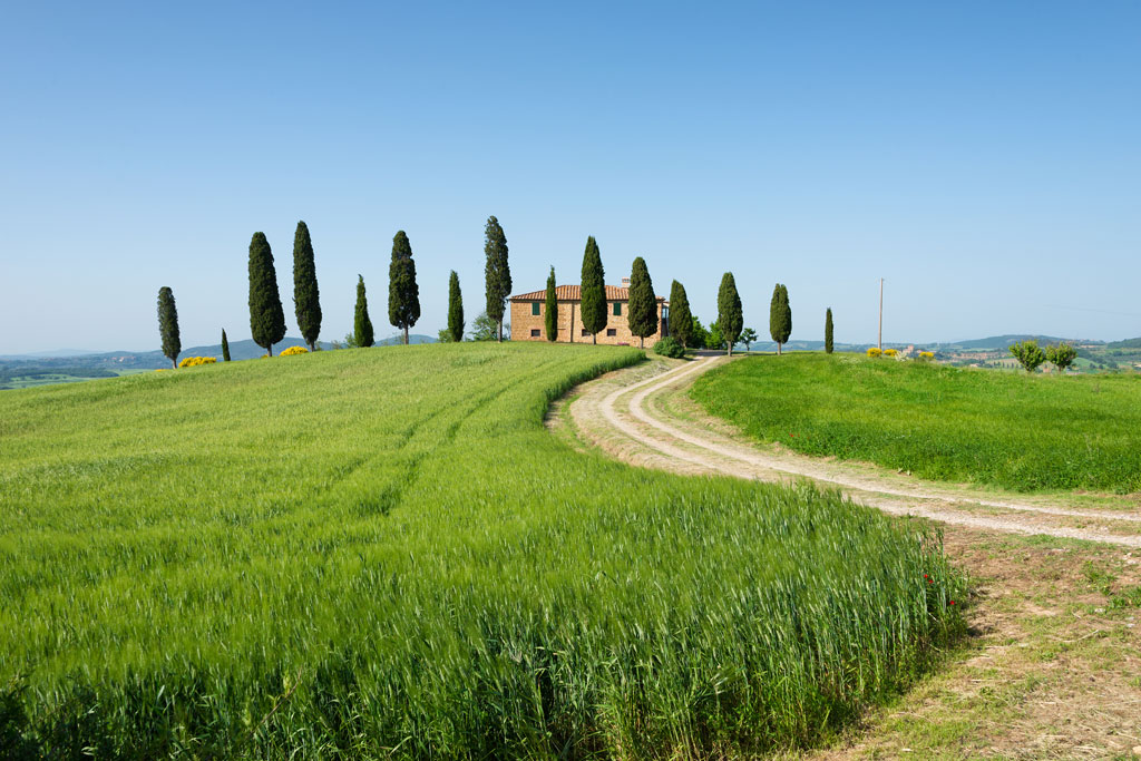 Italian Word of the Day: Fattoria (farm) - Daily Italian Words