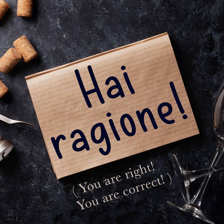 Italian Phrase: Hai ragione! (You are right! You are correct!) - Daily ...