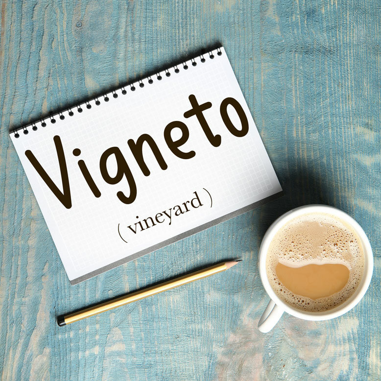 Italian word of the day: Vigneto (vineyard) - storytellingco