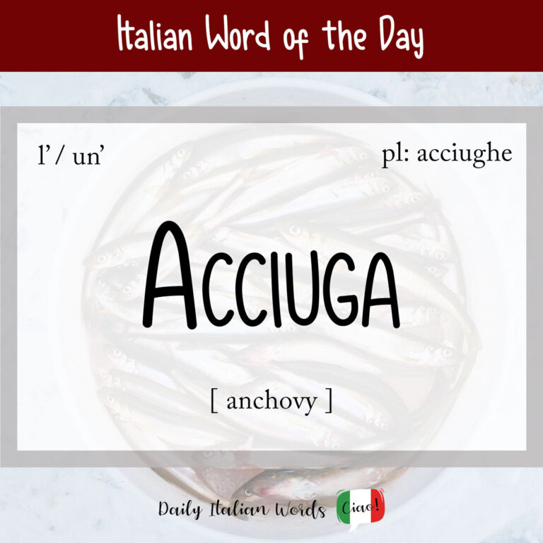 Italian Word of the Day: Acciuga (anchovy) - Daily Italian Words