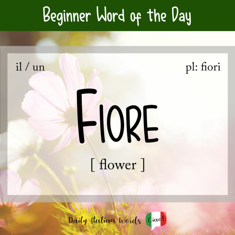 Italian Word of the Day: Fiore (flower) - Daily Italian Words