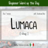 Italian Word of the Day: Lumaca (slug / snail) - Daily Italian Words