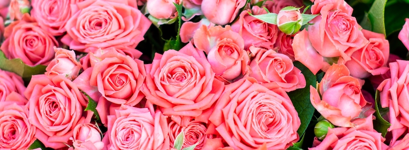 The Names of the Most Important Colors in Italian with Pronunciation ...