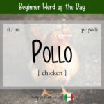 Italian Word of the Day: Pollo (chicken) - Daily Italian Words