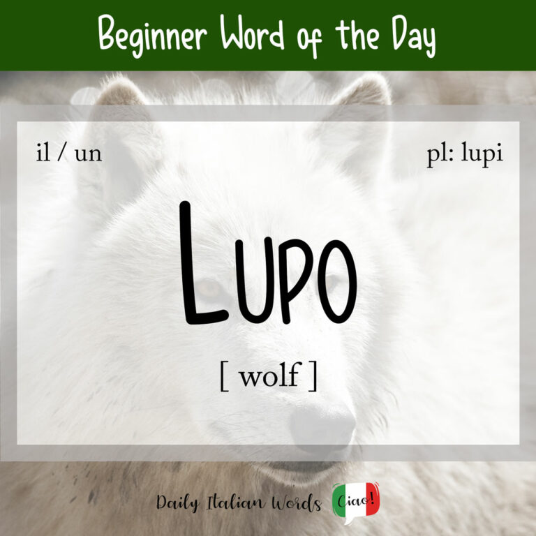 Italian Word of the Day: Lupo (wolf) - Daily Italian Words