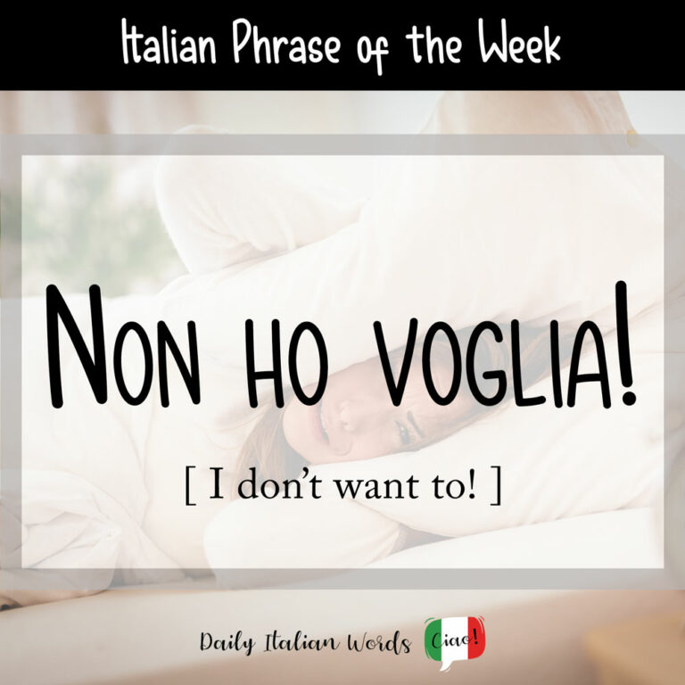 Italian Phrase: Non ho voglia. (I don't want to.) - Daily Italian Words