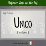Italian Word of the Day: Unico (unique / only) - Daily Italian Words