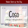 Italian Word of the Day: Coso (thingy) - Daily Italian Words