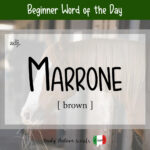 Italian Word of the Day: Marrone (brown) - Daily Italian Words