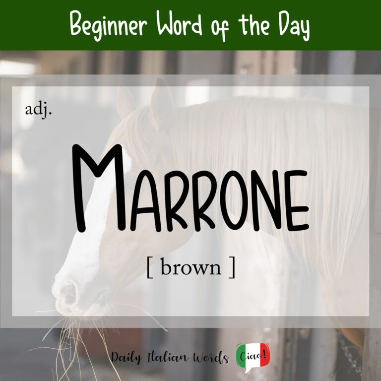 Italian Word of the Day: Marrone (brown) - Daily Italian Words