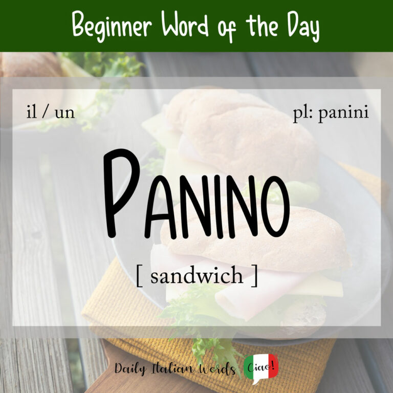 Italian Word of the Day: Panino (sandwich) - Daily Italian Words