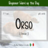 Italian Word of the Day: Orso (bear) - Daily Italian Words