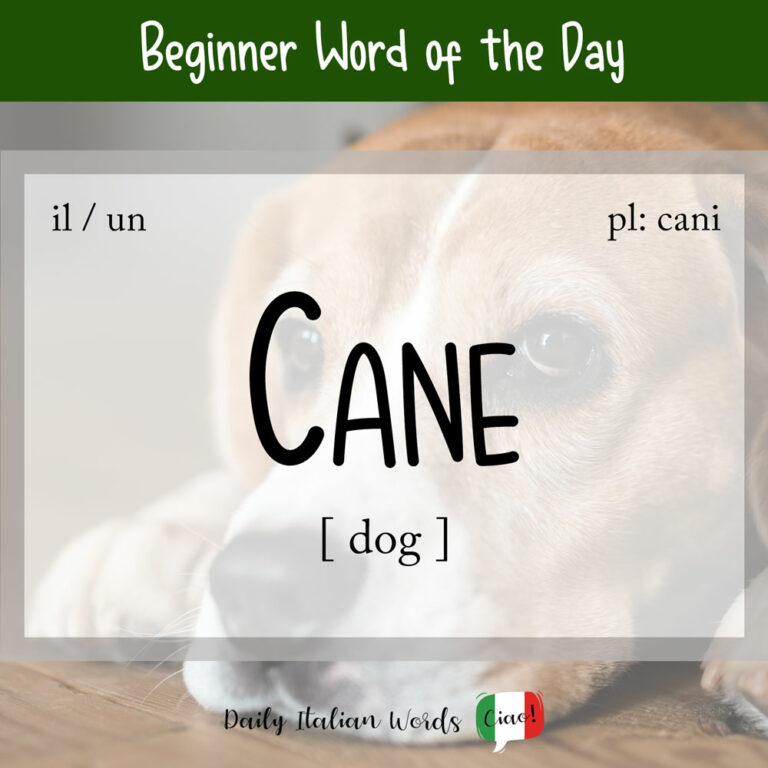 Italian Word of the Day: Cane (dog) - Daily Italian Words