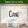 Italian Word of the Day: Cane (dog) - Daily Italian Words