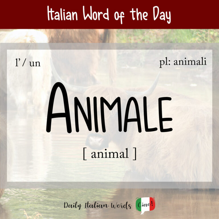 Italian Word of the Day: Animale (animal) - Daily Italian Words