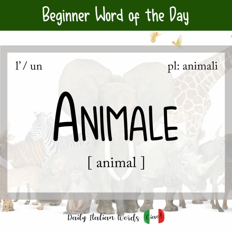 Italian Word of the Day: Animale (animal) - Daily Italian Words