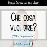 Italian Phrase: Che cosa vuoi dire? (What do you mean?) - Daily Italian ...