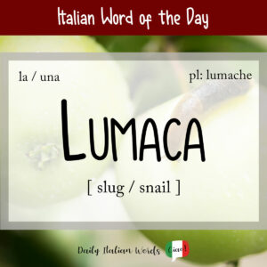 Italian Word of the Day: Lumaca (slug / snail) - Daily Italian Words