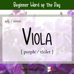 Italian Word of the Day: Viola (purple / violet) - Daily Italian Words