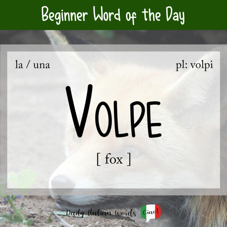 Italian Word of the Day: Volpe (fox) - Daily Italian Words