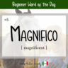 Italian Word of the Day: Magnifico (magnificent) - Daily Italian Words