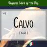 Italian Word of the Day: Calvo (bald) - Daily Italian Words