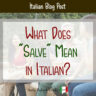 “Salve” in Italian: What does it mean? - Daily Italian Words