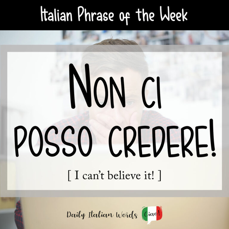 Italian Phrase: Non ci posso credere! (I can't believe it!) - Daily ...