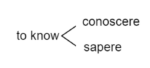 Conoscere vs Sapere in Italian: What's the difference? - Daily Italian ...