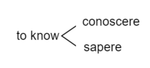 Conoscere vs Sapere in Italian: What's the difference? - Daily Italian ...