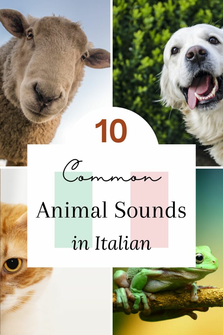 10 Common Animal Sounds in Italian - Daily Italian Words