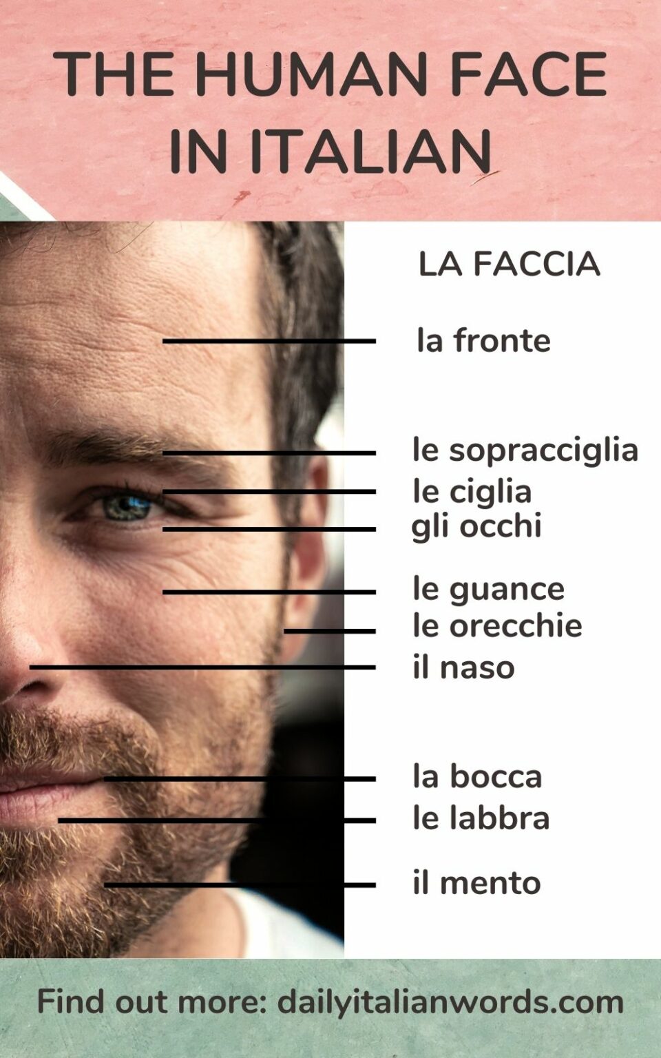 Italian Word of the Day: Faccia (face) - Daily Italian Words