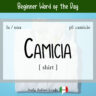Italian Word of the Day: Camicia (shirt) - Daily Italian Words