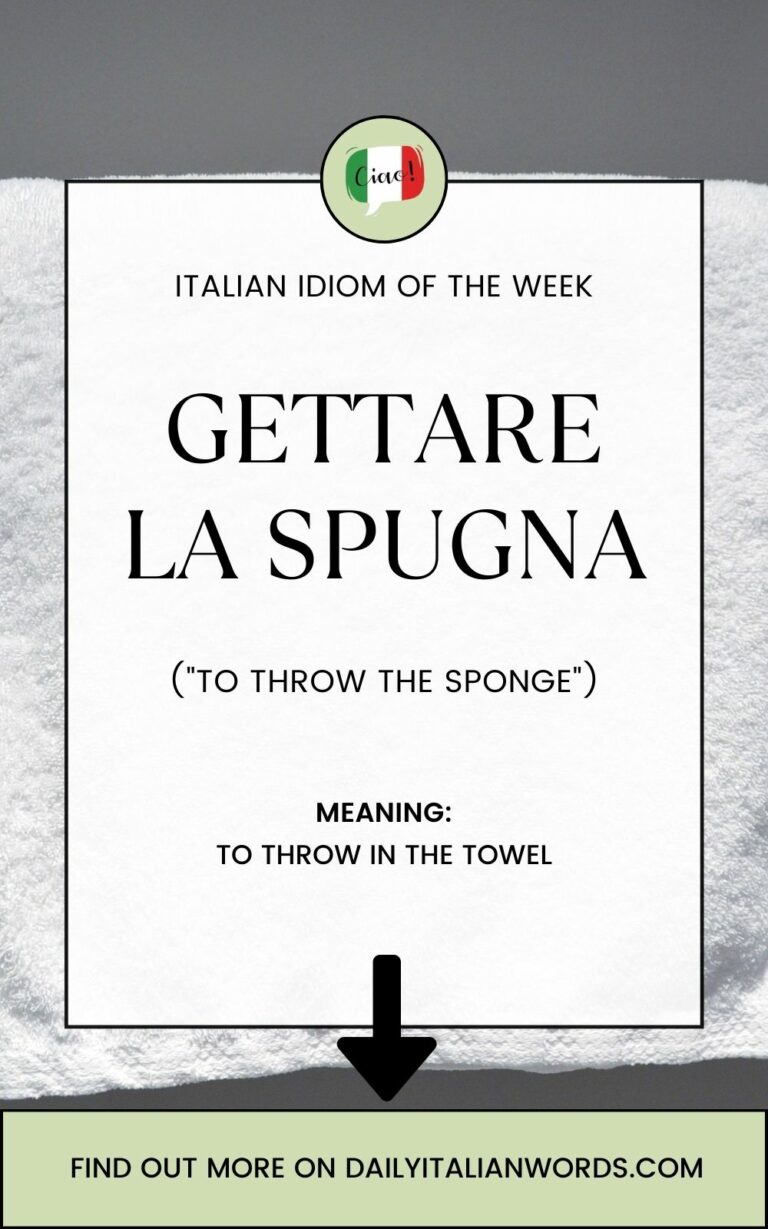 Italian Idiom: Gettare la spugna (to throw in the sponge / towel ...