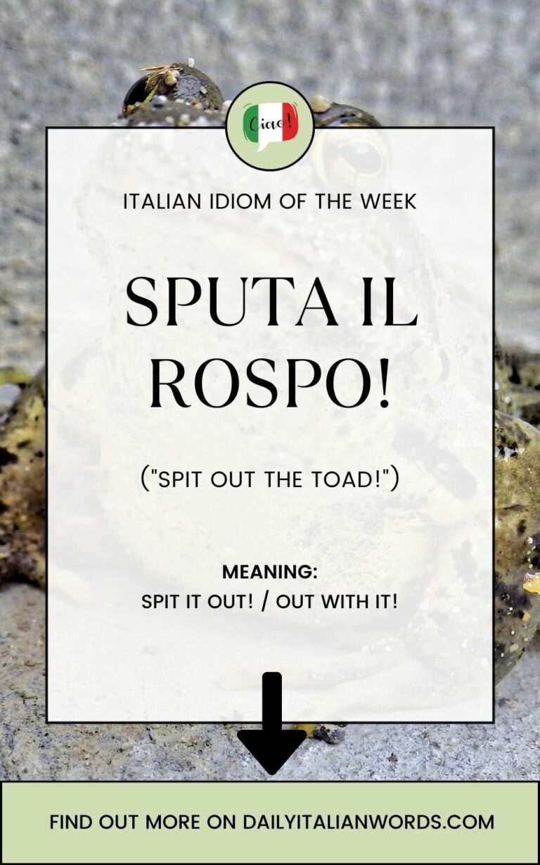Italian Idiom: Sputa il rospo! (Spit it out!) - Daily Italian Words