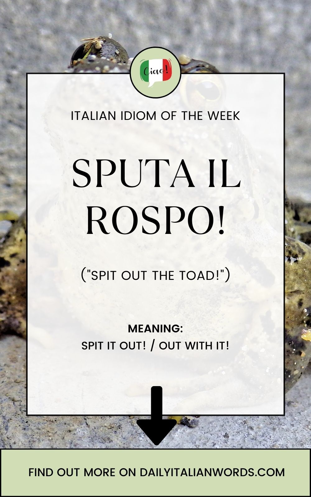 Italian Idiom: Sputa il rospo! (Spit it out!) - Daily Italian Words