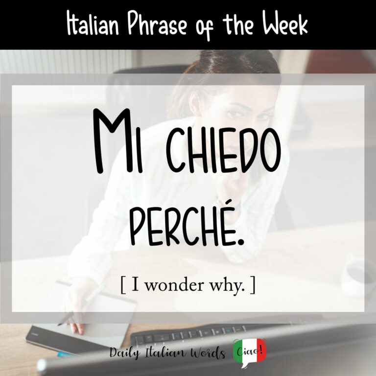 Italian Phrase: Mi chiedo perché. (I wonder why.) - Daily Italian Words