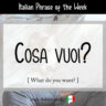Italian Phrase: Cosa vuoi? (What do you want?) - Daily Italian Words