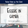 Italian Idiom: Essere in gamba (to be very capable) - Daily Italian Words