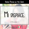 Italian Phrase of the Week: Mi dispiace! (I'm sorry!) - Daily Italian Words