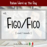 Italian Word of the Day: Fico / Figo (cool / trendy) - Daily Italian Words