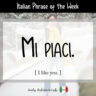 Italian Phrase: Mi piaci! (I like you!) - Daily Italian Words